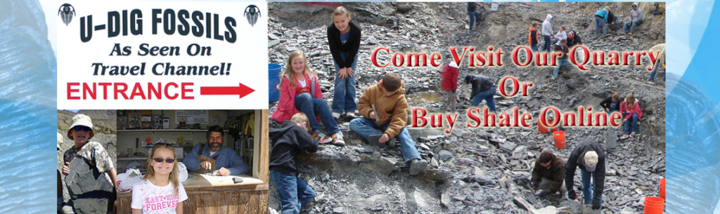 U-Dig Fossils – Topaz Mountain Adventures